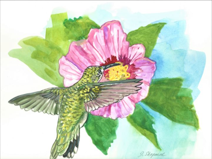 Hummingbird Lunch - James Shepard Arts - Paintings & Prints, Animals ...