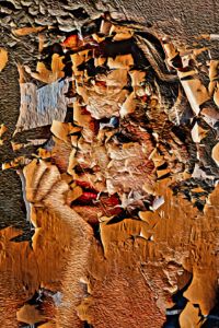 VK ARTS - Digital Art