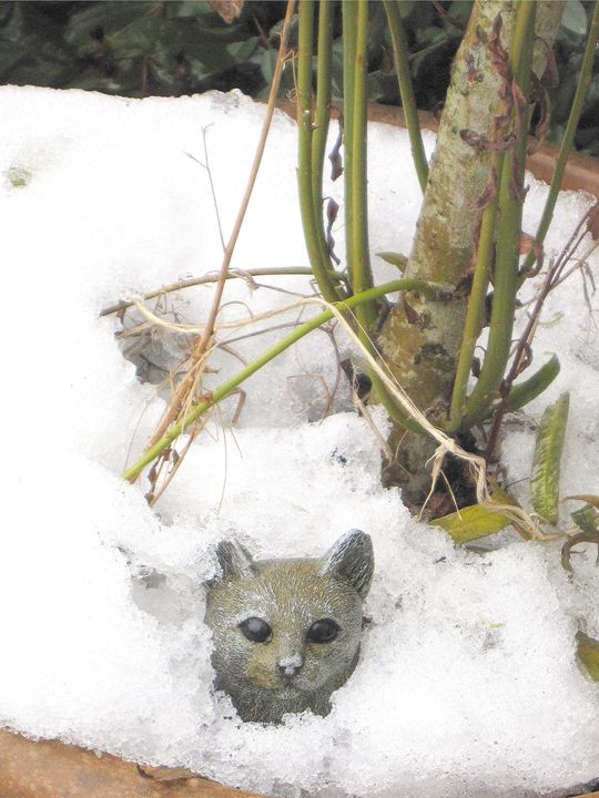 Wokingham - Quentin Haslam - Photography, Places & Travel, Europe ...