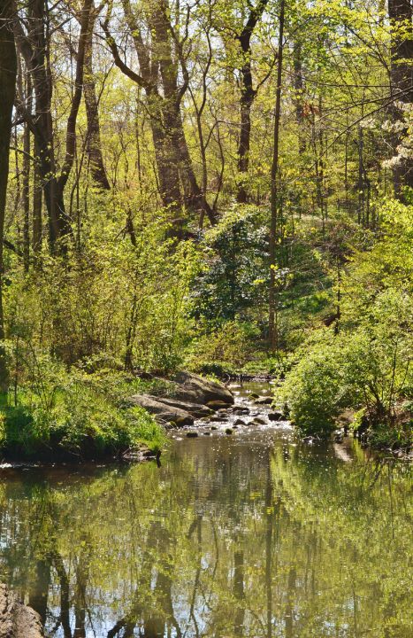 It's Not Easy Being Green - Sun Daze - Photography, Landscapes & Nature ...