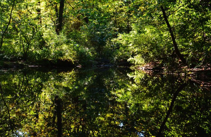 Reflections of Way Life Used to Be - Sun Daze - Photography, Landscapes ...