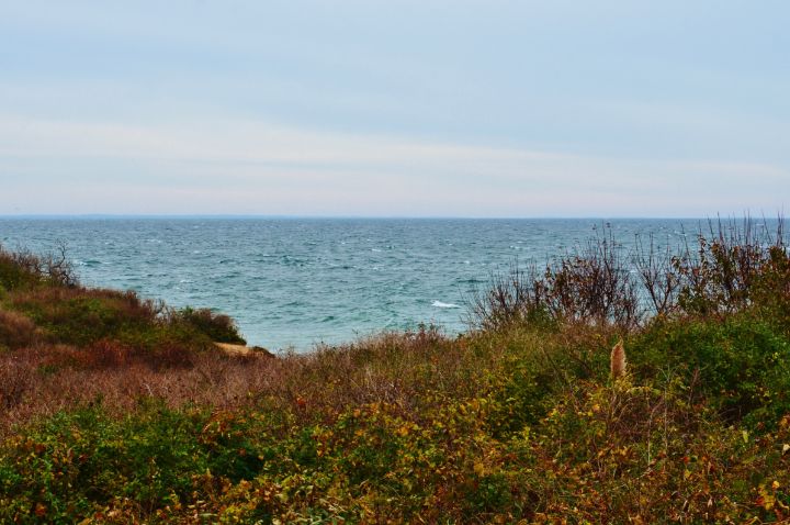 Lorna Dune - Sun Daze - Photography, Landscapes & Nature, Beach & Ocean ...