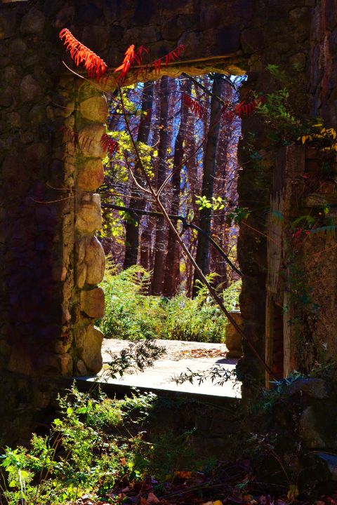 Cornish Cornice - Sun Daze - Photography, Landscapes & Nature, Paths ...