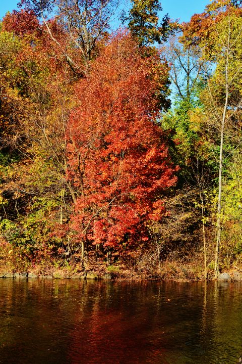 Rust Never Sleeps - Sun Daze - Photography, Landscapes & Nature, Paths ...