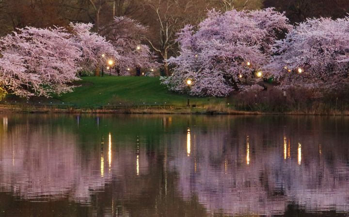 A Cherry Nice Pond - Sun Daze - Photography, Landscapes & Nature, Lakes ...