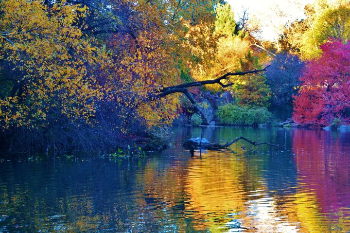 Yel-low - Sun Daze - Photography, Landscapes & Nature, Seasons, Autumn ...