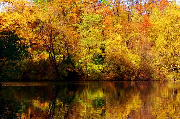 Last Fill of Chlorophyll - Sun Daze - Photography, Landscapes & Nature ...