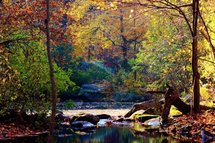 Falling and Flowing Down - Sun Daze - Photography, Landscapes & Nature ...