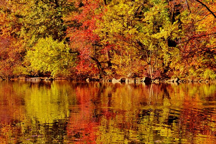 Upon Reflection - Sun Daze - Photography, Landscapes & Nature, Seasons ...