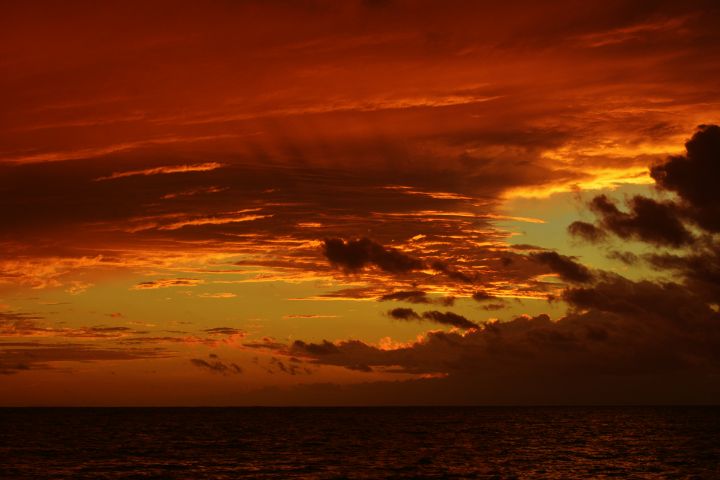 The Sun Turns a Gold All Around - Sun Daze - Photography, Landscapes ...