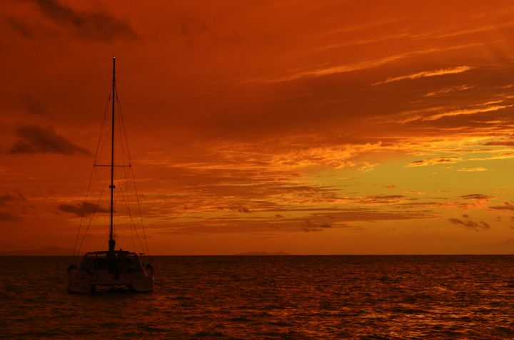 Sun Daze - Photography, Paintings & Prints