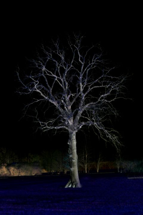 Alan Harman Photography - Photography, Paintings & Prints