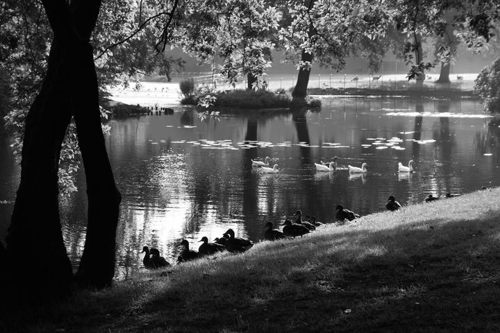 Park Life - Alan Harman Photography - Photography, Landscapes & Nature ...