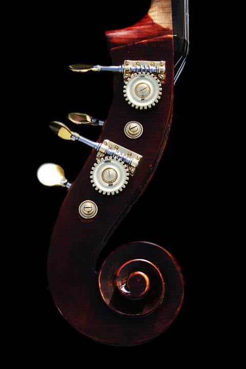 Bass 2 - Alan Harman Photography - Photography, Entertainment, Music ...