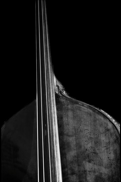 Bass 5 - Alan Harman Photography - Photography, Entertainment, Music ...