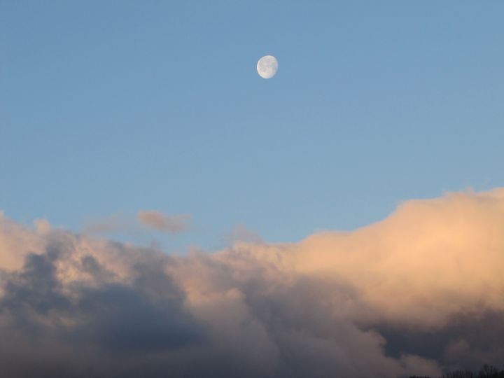 Morning Moon - Galleria Straordinaria - Photography, Astronomy & Space ...