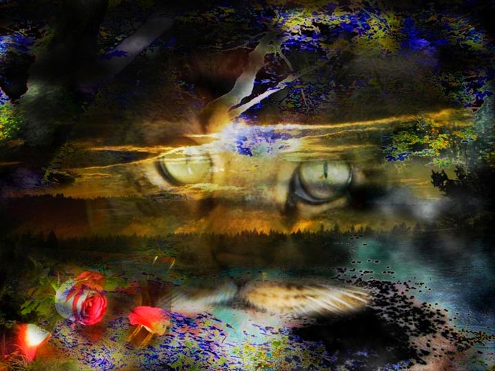 Mystic Eyes - Robins Reflections - Photography, Fantasy & Mythology ...