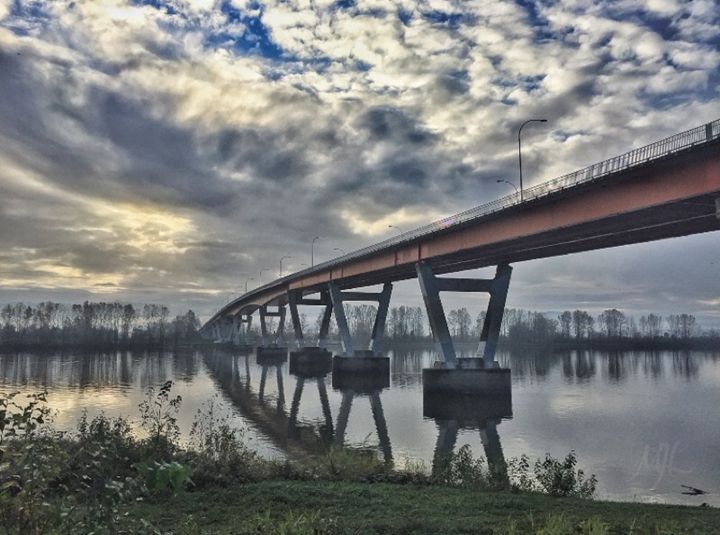 MJL Photography - Photography