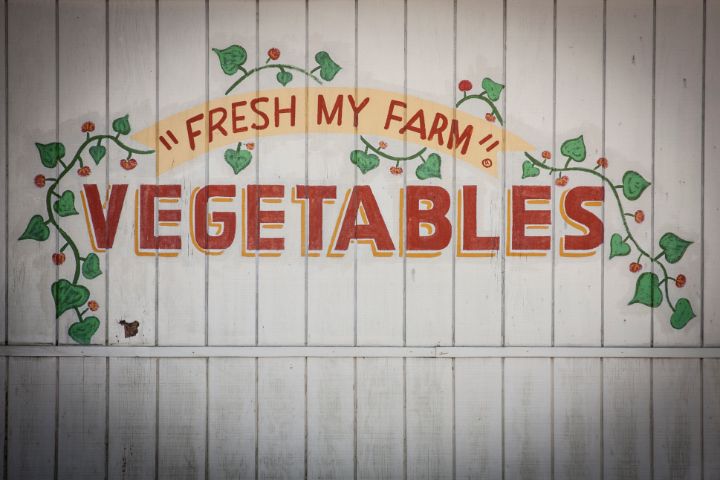 Fresh My Farm Vegetables - Views Of Charlotte by CarlMillerPhotos.com ...