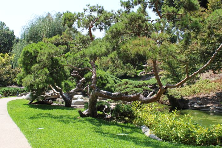 Garden Path - Brian Edward Gallery - Photography, Landscapes & Nature ...