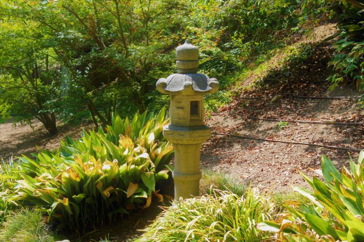 Meditation - Brian Edward Gallery - Photography, Landscapes & Nature ...