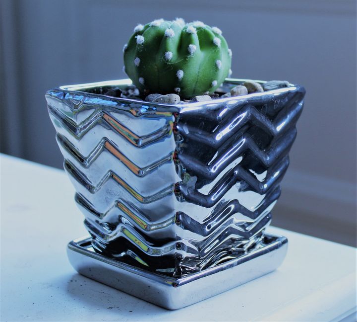 Movement - Brian Edward Gallery - Photography, Flowers, Plants, & Trees ...