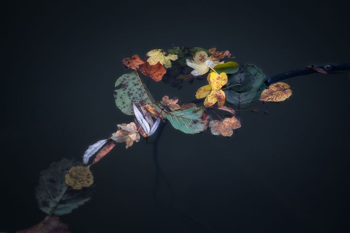 Decay - Martin Galea photography - Photography, Landscapes & Nature ...