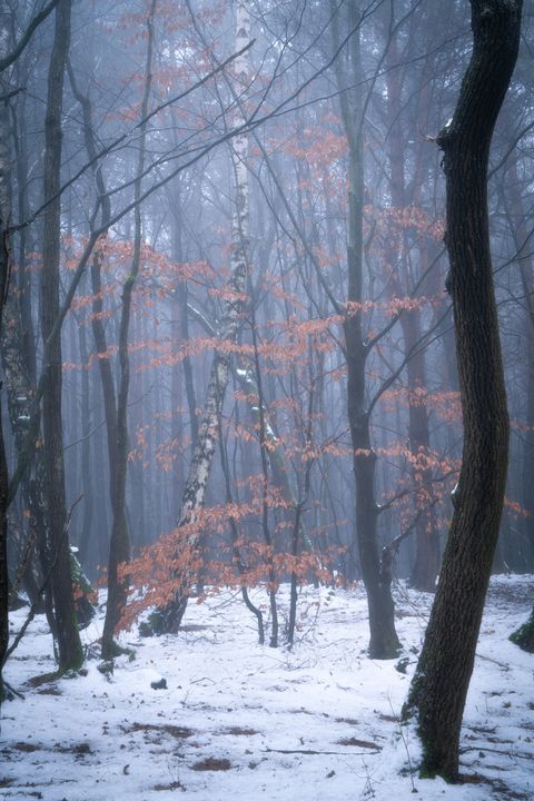 When seasons meet - Martin Galea photography - Photography, Landscapes ...