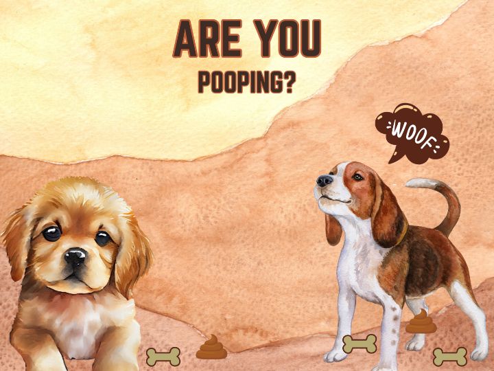 Are you pooping wall sign - Ald Handmade Creations - Digital Art & AI ...