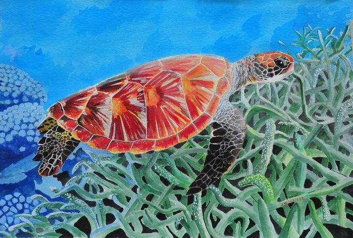 Honu II - John W. Walker Art - Paintings & Prints, Animals, Birds ...