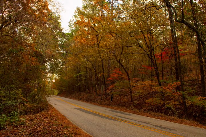 Fall on a County Road - Thomas Vasas Photography & Art - Photography ...