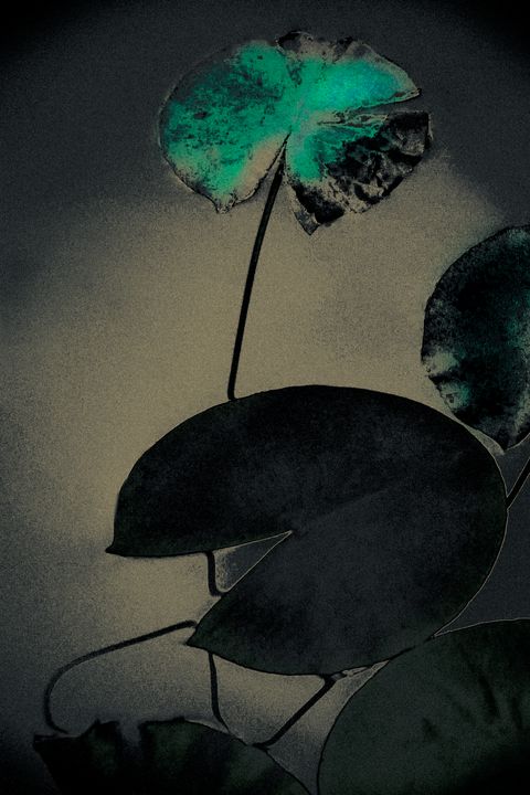 Emerald Spring - Alice Gur-Arie - Paintings & Prints, Flowers, Plants ...