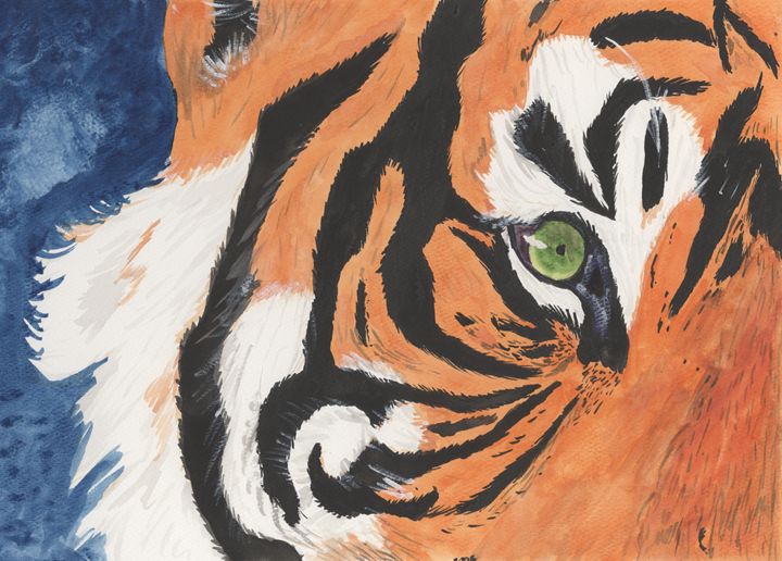 Tiger Eye - Candy's Gallery - Paintings & Prints, Animals, Birds ...