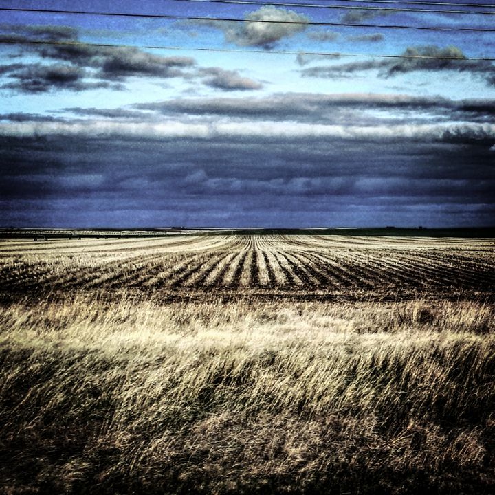 Corn Fields 3 - Amanda Hovseth - Photography, Landscapes & Nature ...