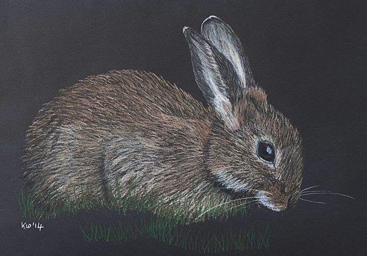 Rabbit - Kate Wilkey Art - Paintings & Prints, Animals, Birds, & Fish ...