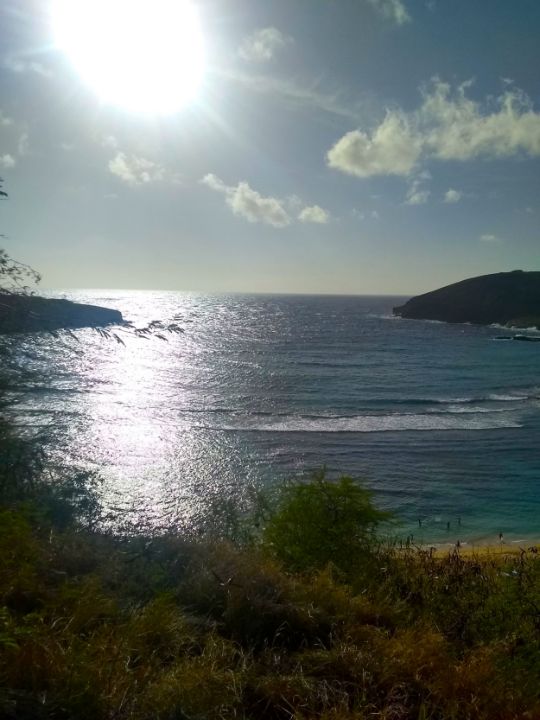 Hawaii - Susan Cook - Photography, Landscapes & Nature, Beach & Ocean ...