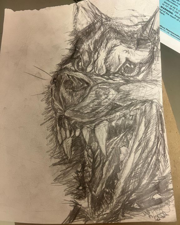 Stay Stoned with Natures Beauty - Drawings & Illustration