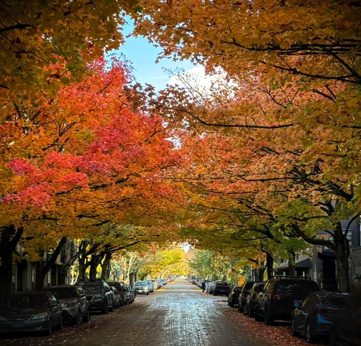 Portland Fall - Ferlinghetti Van Houten Photography - Photography ...