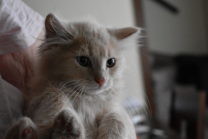 Spencer Reece - Photography