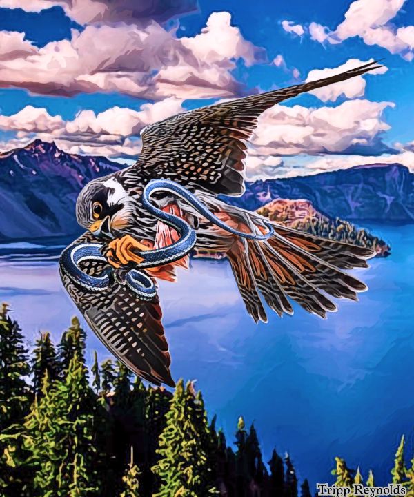 Falcon's Prey - Tripp Reynolds - Digital Art & AI, Animals, Birds ...