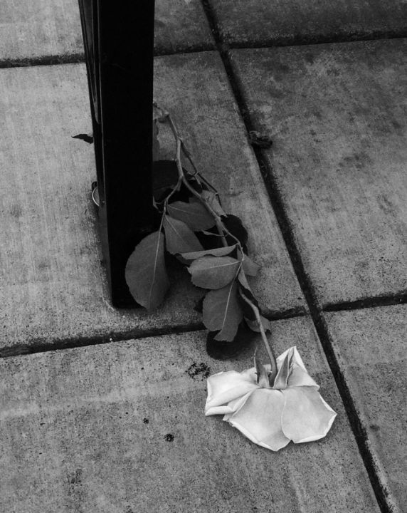 Weird crap I’ve made. - Photography, Drawings & Illustration, Digital ...