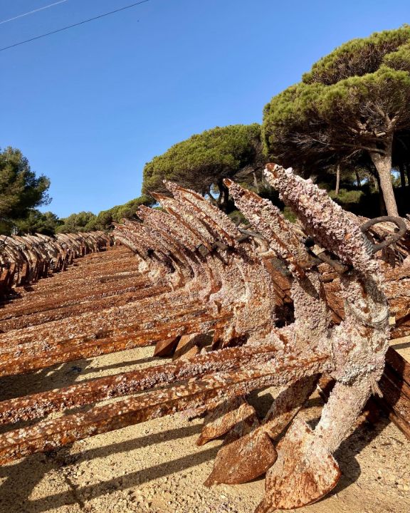 Besitos Vejer - Photography