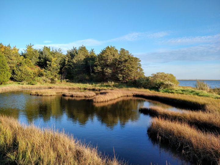 A veiw down Cape cod, Ma - In And Out Of Abstract - Photography ...