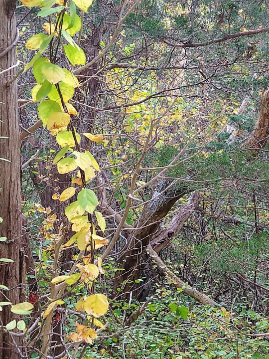 Nature is just a beautiful mess. - In And Out Of Abstract - Photography ...