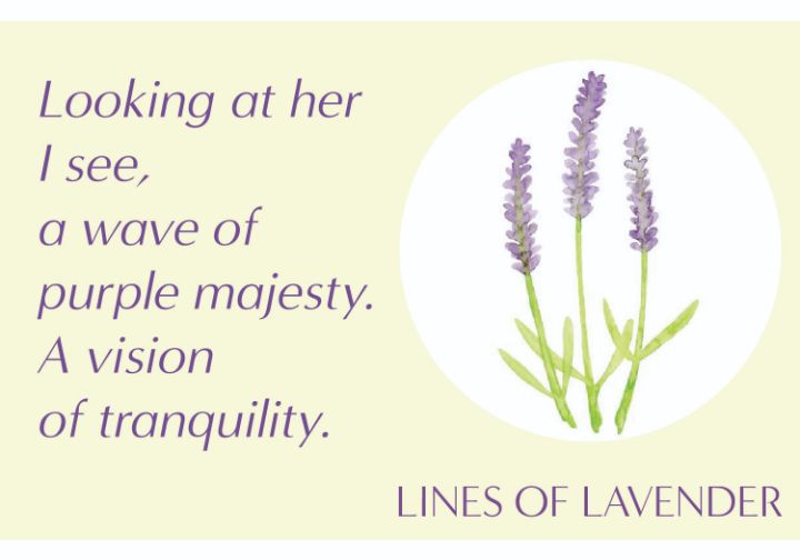 Lines of Lavender - Digital Art & AI, Paintings & Prints