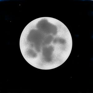 Natural Artworks - Digital Art & AI