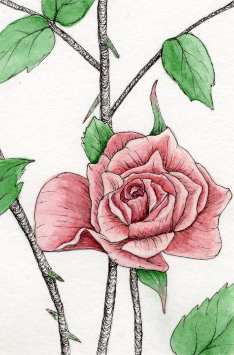 Pink Rose - Purple Lily Art - Drawings & Illustration, Flowers, Plants ...