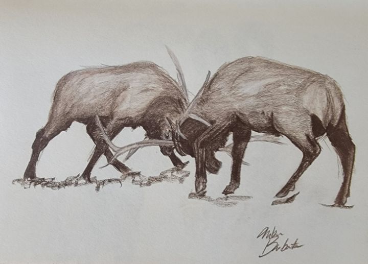 Elk sketch - Spacewesternjewelry - Amber Shackelford - Drawings ...