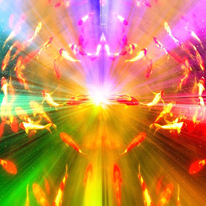 Rainbow Aura Fish - NickRockDesigns - Paintings & Prints, Animals ...