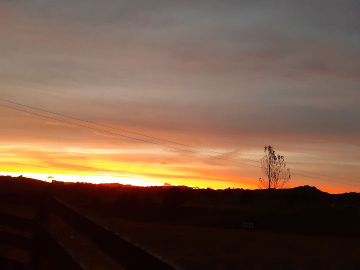 Farm Life - Photography